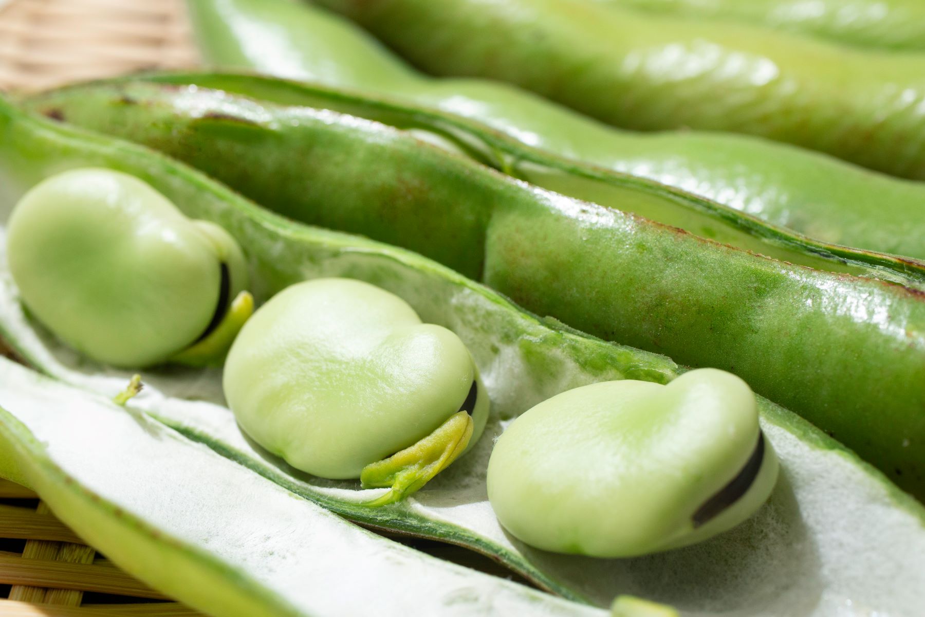 From bread to burgers: How faba bean protein transforms food development